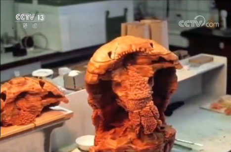 張弥曼（Meemann Chang） | 中国の優れた女性科学者 | 中国の科学技術